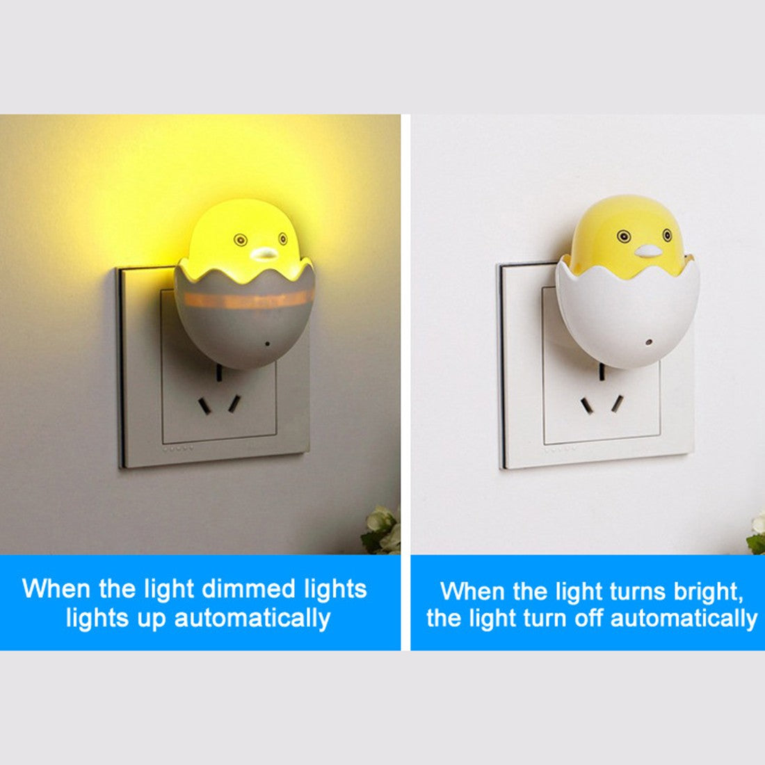Chick Plugin Night Light - SK Collection – SK Collection PK
